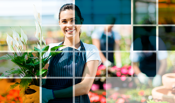 ¿Qué son y Cómo funcionan las Sofoles?